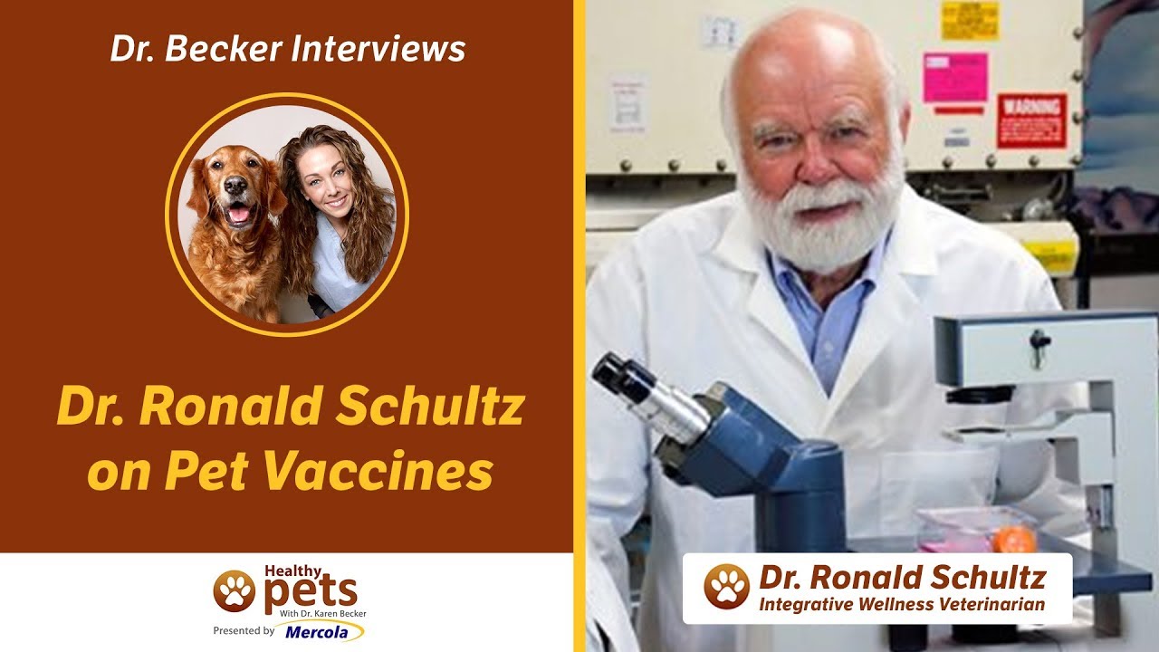 The Dr. Karen Becker / Dr. Ronald Schultz Interviews about Vaccines ...