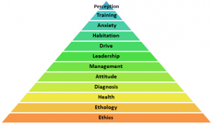 LIMA (Least Intrusive Minimally Aversive) in Dog Training 5.0 ...