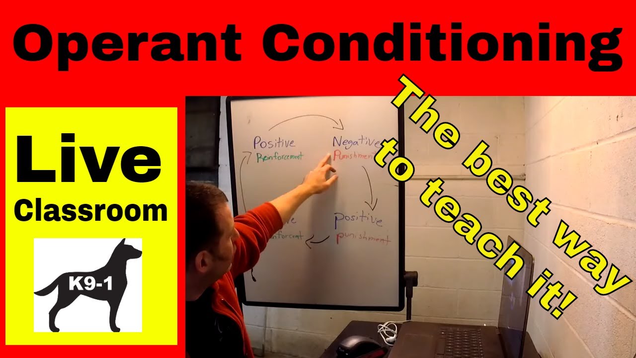 Teaching Operant Conditioning 4.0 - DogTraining.World
