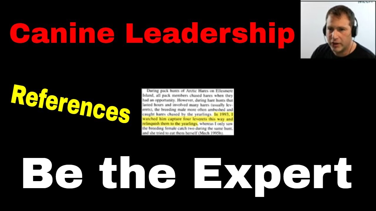 Dave Mech on Leadership – DogTraining.World