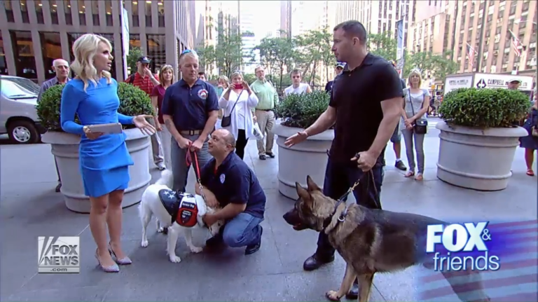 DogTraining.World – Education and Support for Professional Dog Trainers.