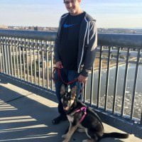 DogTraining.World – A dog training community, reference, and support ...